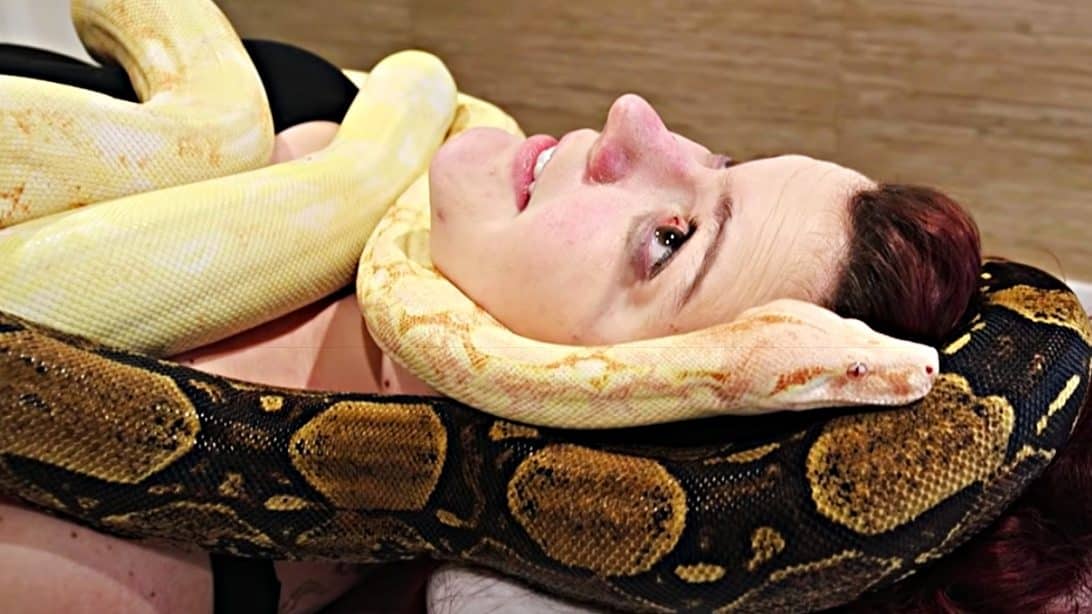 New Way To Unwind: A Snake Massage