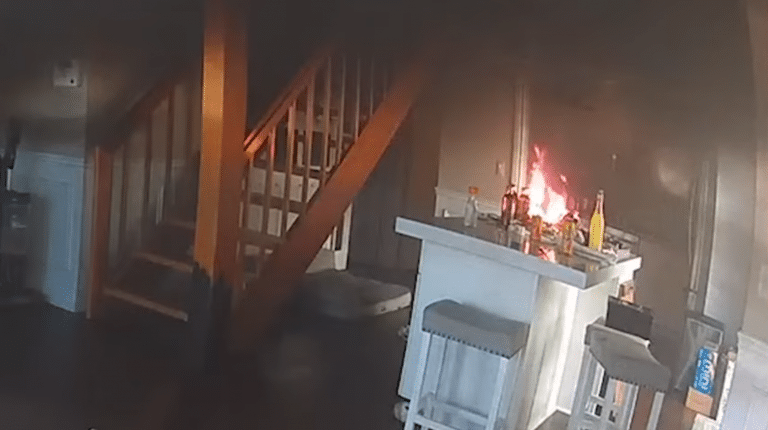 Dog Almost Burns Down Home Trying To Get Food On Stove