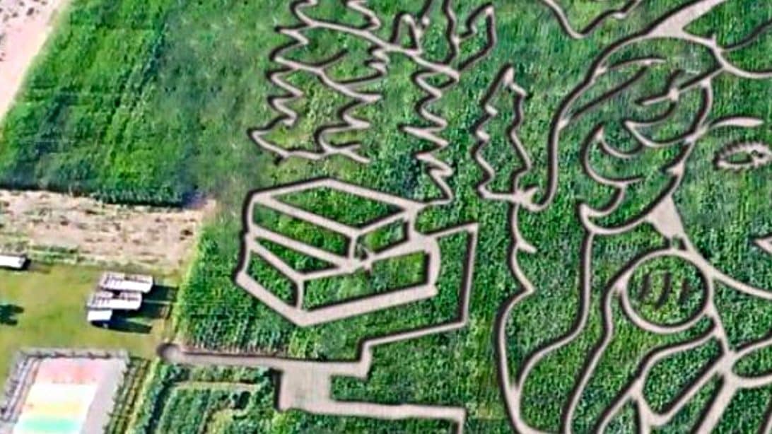 Farmer Creates Corn Maze Featuring Famous Country Singer