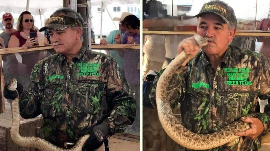 Rattlesnake Handler Dies After Getting Bitten In Front Of Festival Crowd