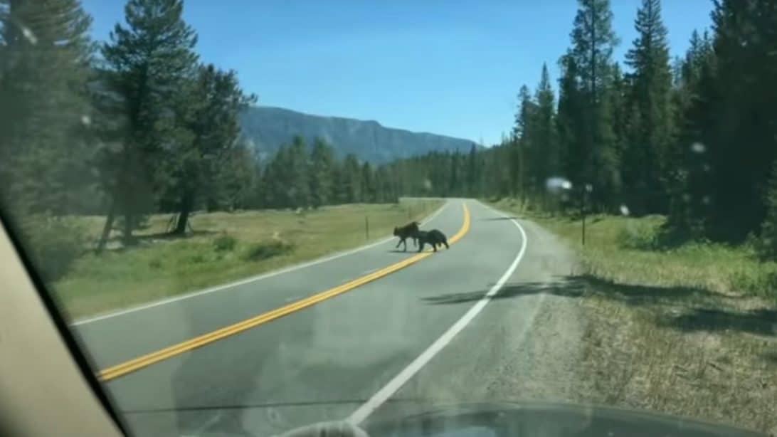 Country Music Family