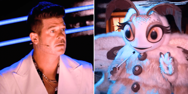 Poodle Moth Stuns Judges With Emotional Rendition Of 'The House That ...