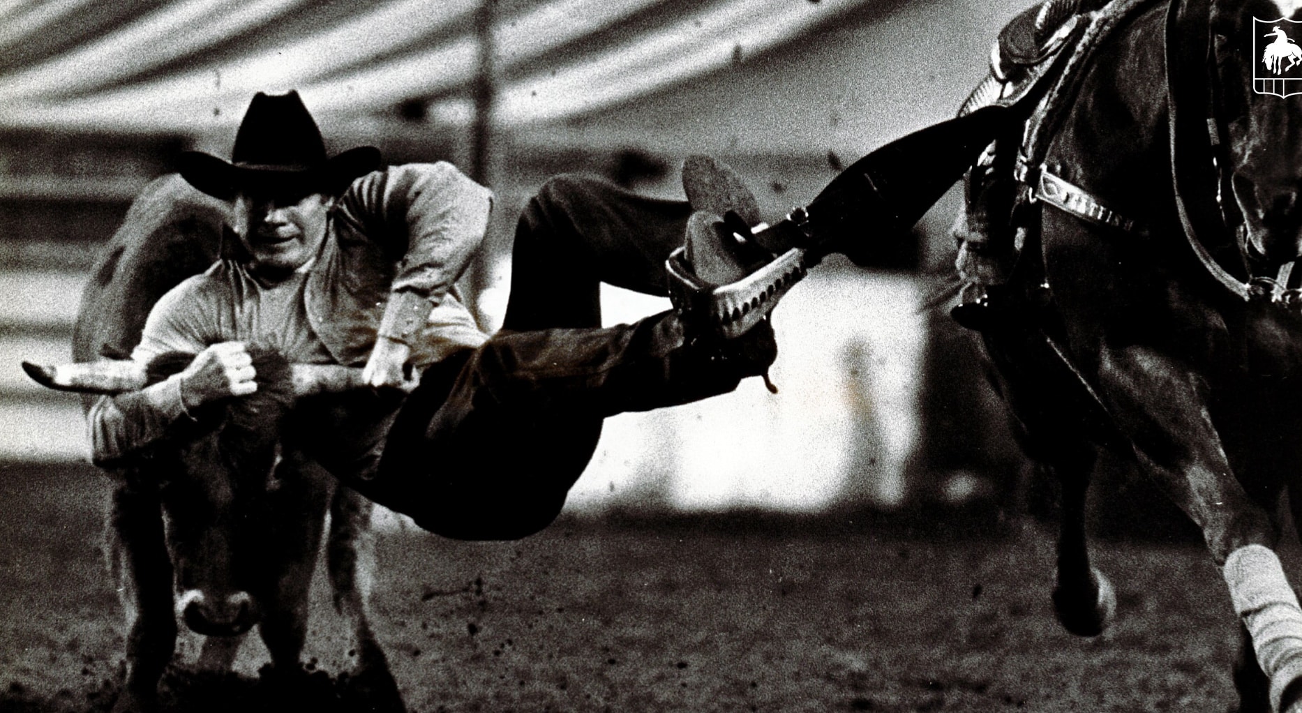 PRCA Steer Wrestling Legend Butch Myers Has Died