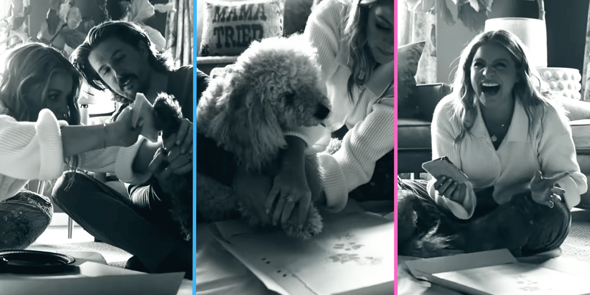 Lauren Alaina Gets Her Pets Involved In Sweet Gender Reveal Video For ...