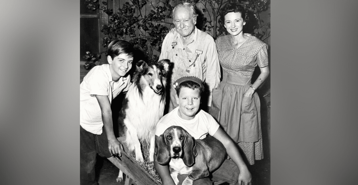 Beloved "Lassie" Star Joey D. Vieira Dies At Age 80