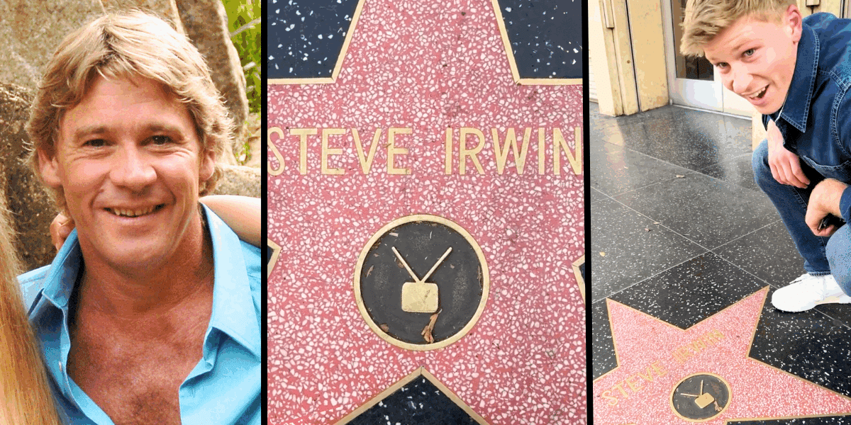 Robert Irwin Takes A Moment To See His Dad’s Star On The Hollywood Walk ...