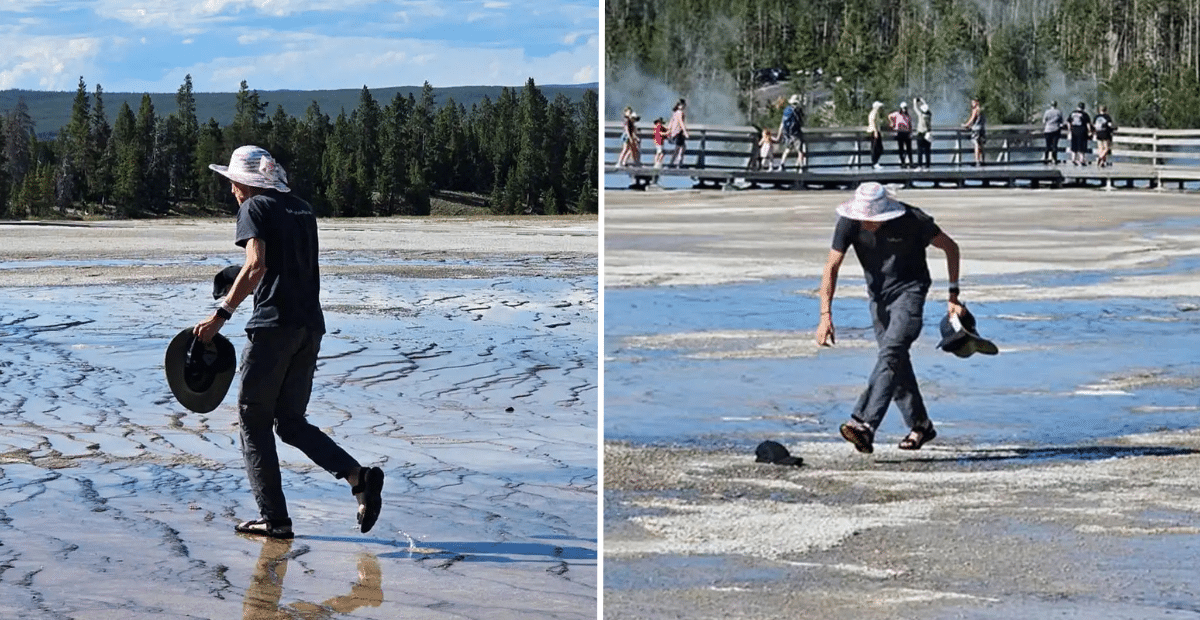Yellowstone National Park Visitors Outraged After Man Walks Into Off ...