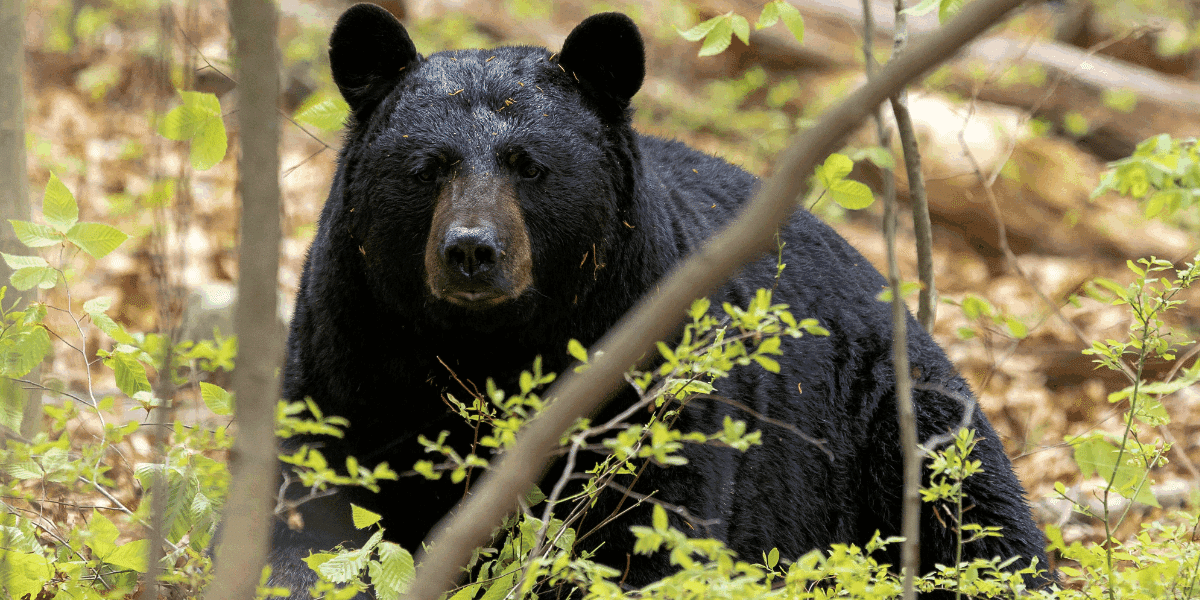 Ree Drummond Shares Stunning New Photos & Details From Daughter Paige's ...